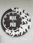 Max. Pro (gorodskoy okrug Voronezh, Sovetskiy District, Mezhdurechenskaya ulitsa, 1Б), özel ağız ve diş sağlığı klinikleri ve muayenehaneleri  Voronej'den