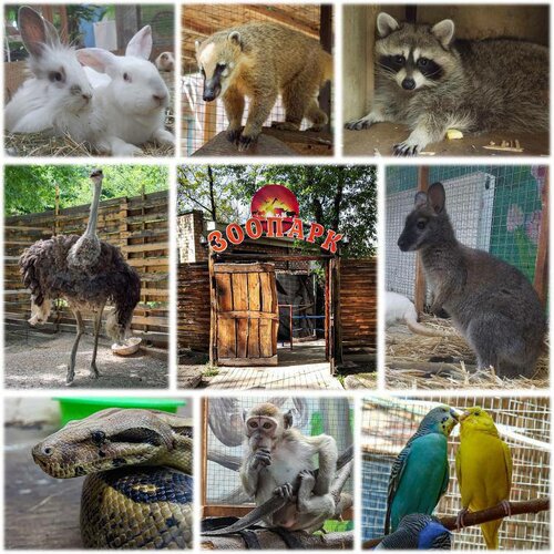 Hayvonot bog'i, hayvonot bog‘i, Toshkent, Furqat nomidagi madaniyat va ...