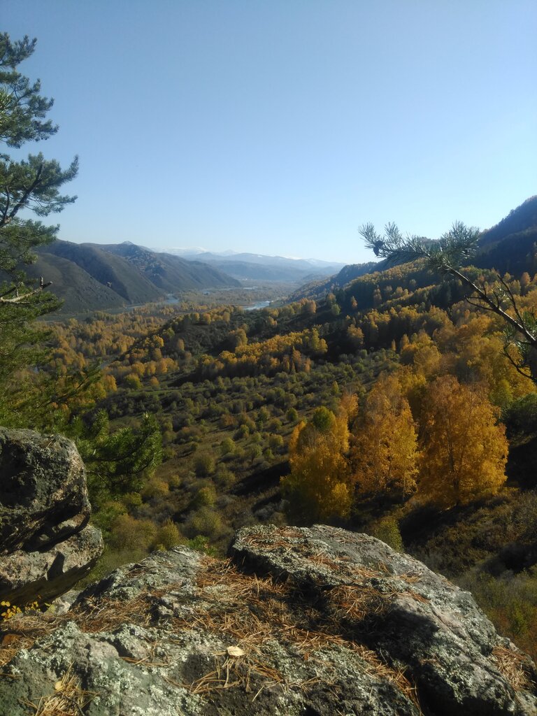 Dağ zirvesi Гора Мохнатая, Altayski krayı, foto