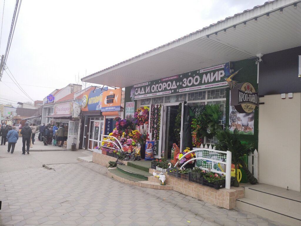 Petshop Флора & Фауна, Anapa, foto