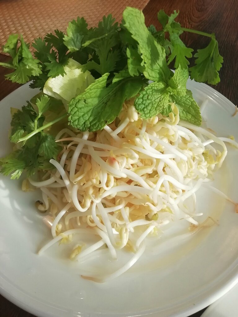 Restoran Vietnamese Pho, Abu Dabi, foto