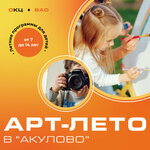 Art-leto (No:25, Akulovo Settlement), yaz kampı  Moskova'dan