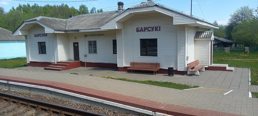 Tren garları Railway station, Mogiliovskaya oblastı, foto