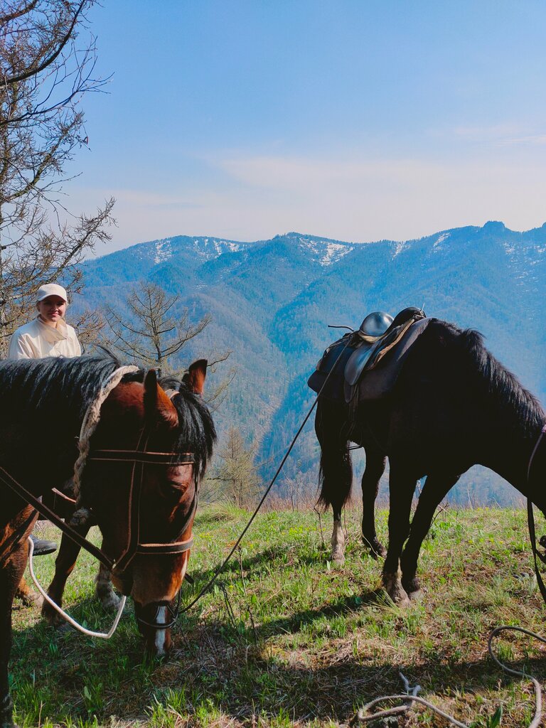 Tatil köyleri ALTAI 3D, Altay Cumhuriyeti, foto