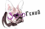 Zoogeniy (Bratislavskaya Street No:19к1), petshop  Moskova'dan