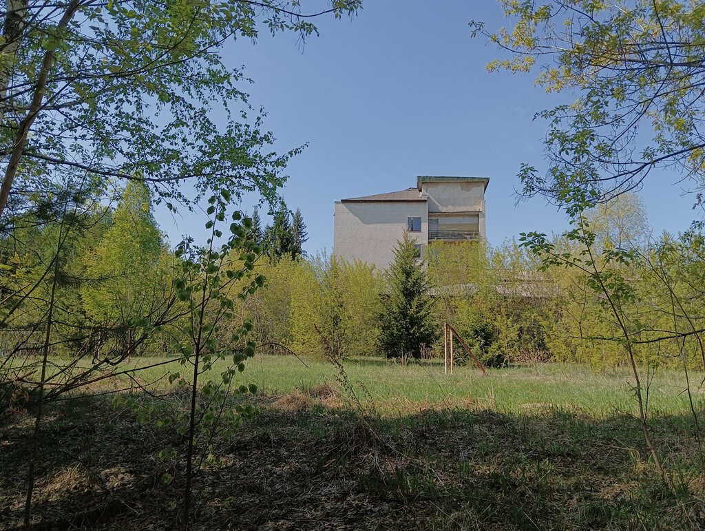 Yurtlar Zayeltsovsky bor, Novosibirsk, foto