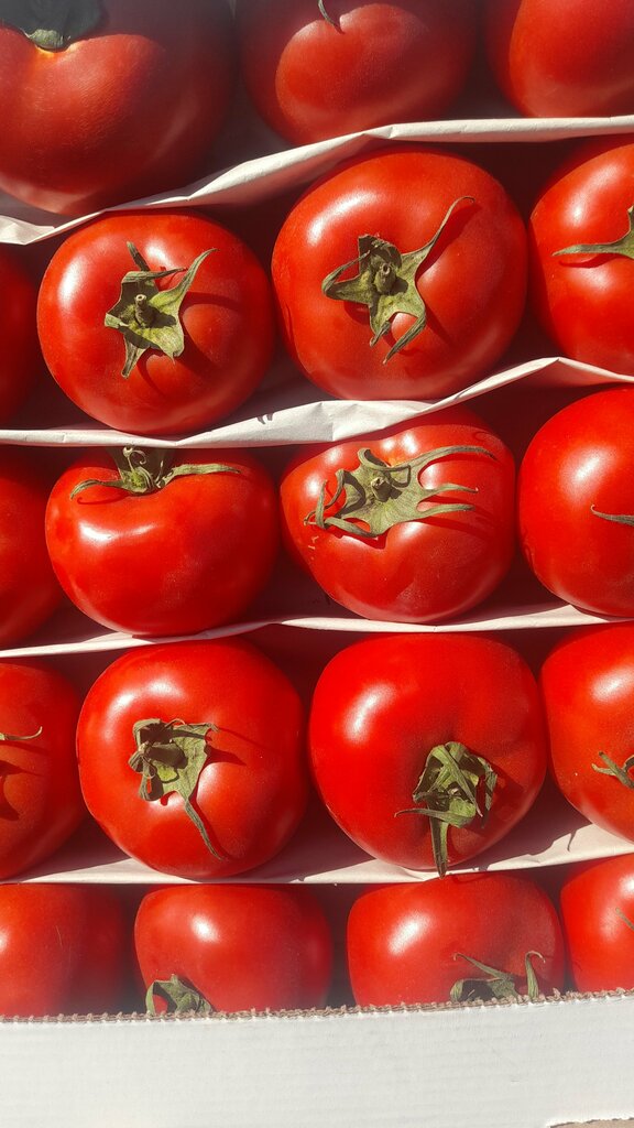 Manavlar Фрукты и овощи, Yekaterinburg, foto