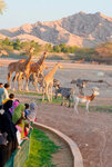 Worldwide Zoo Consultants (Dubai Tower, Al Rigga, Deira, Dubai), hayvanat bahçesi merkezi  Dubai'den