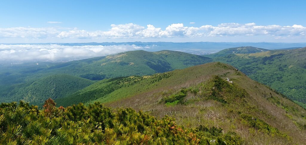 Dağ zirvesi Гора Медика 785 метров, Sahalin Bölgesi, foto
