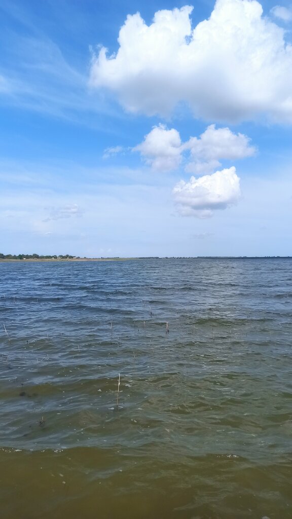 Plaj Красноперекопский городской пляж, Kırım Cumhuriyeti, foto