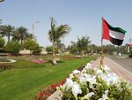 Emirates Landscape LLC (Al Maryah Street No:Al Salmeen Golden Tower), çevre peyzaj hizmetleri  Abu Dabi'den