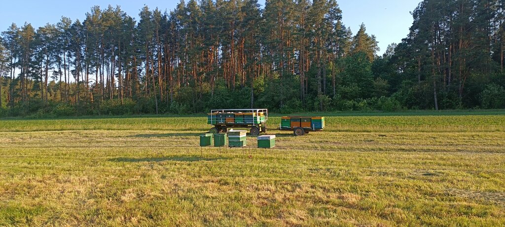 Bal ve arıcılık firmaları Medok-alexander, Minsk, foto
