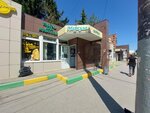 Magazin Markiza (Tula, Marata Street), petshop  Tula'dan