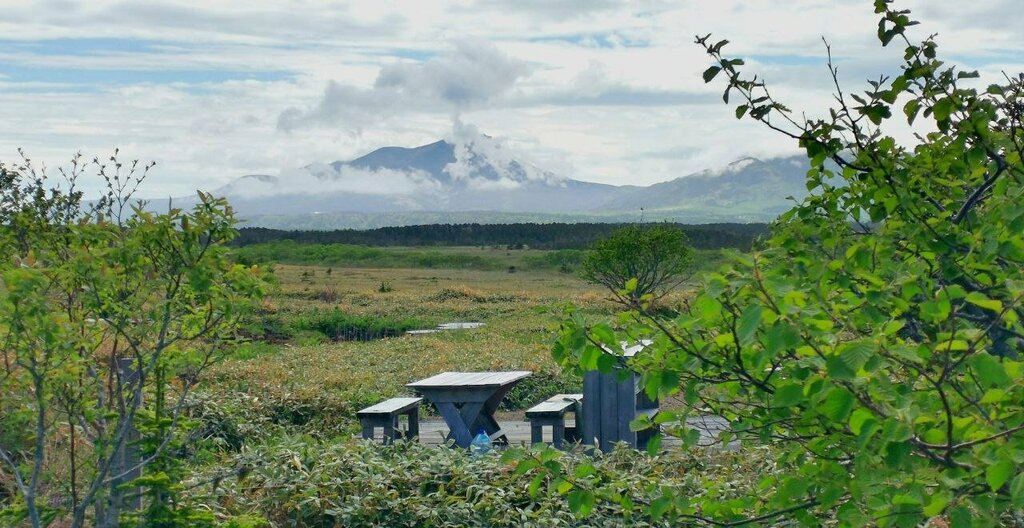 Kamp alanları Трясогузка, Sahalin Bölgesi, foto