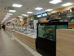 Рыба есть (Shosseynaya Street No:29к1), balık ve deniz ürünleri  Moskova'dan