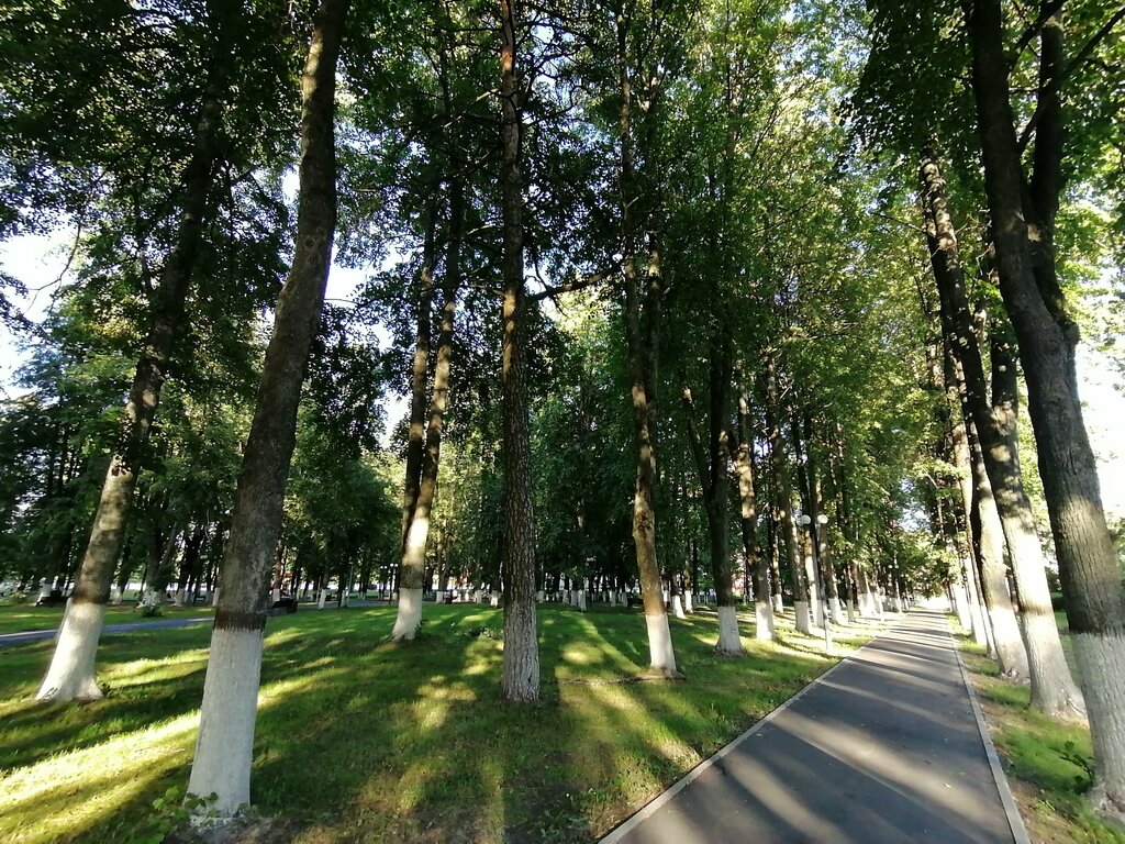 Kültür ve eğlence parkları Городской сквер, Elektrogorsk, foto
