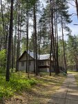 База отдыха Чечевичи ОАО Могилевский металлургический завод (Magiliowskaja voblasc, Byhawski rajon, Charnaborski sielsaviet, 16), resort oteller, tesisler  Mogiliovskaya oblastından