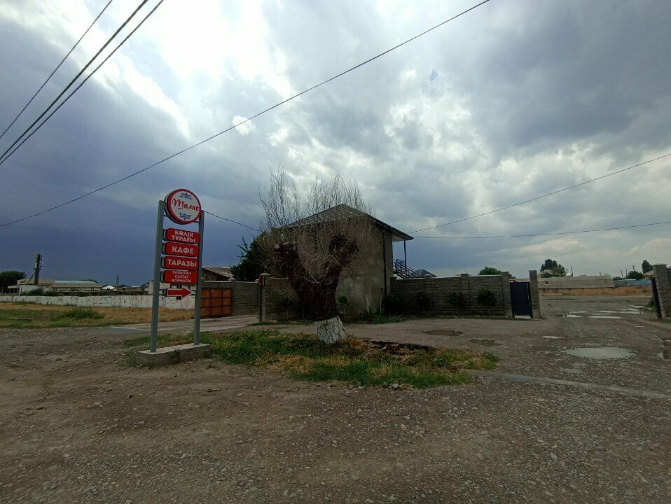 Market Talas, Jambıl eyaleti, foto