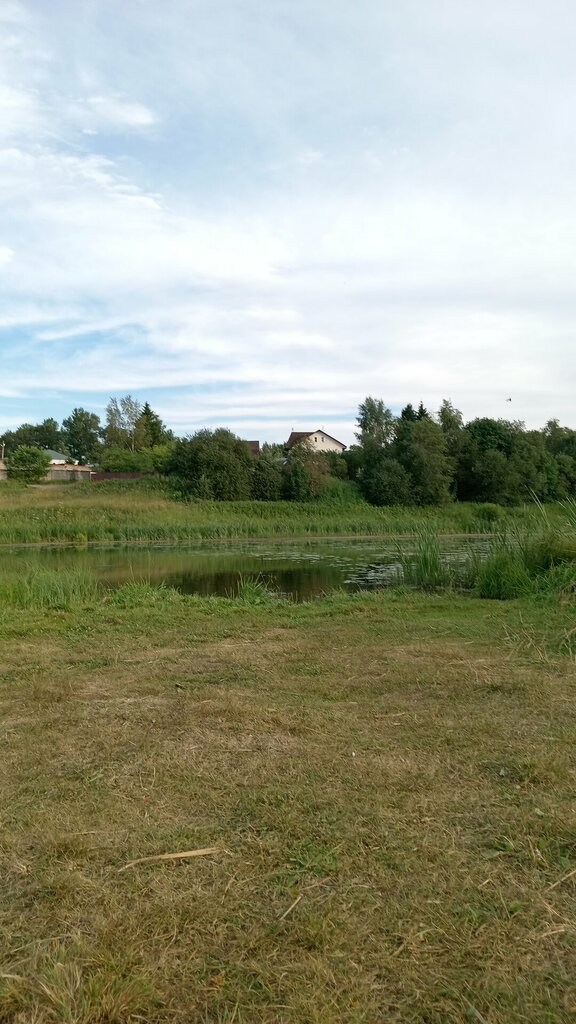 Plaj Пляж, Moskova ve Moskovskaya oblastı, foto