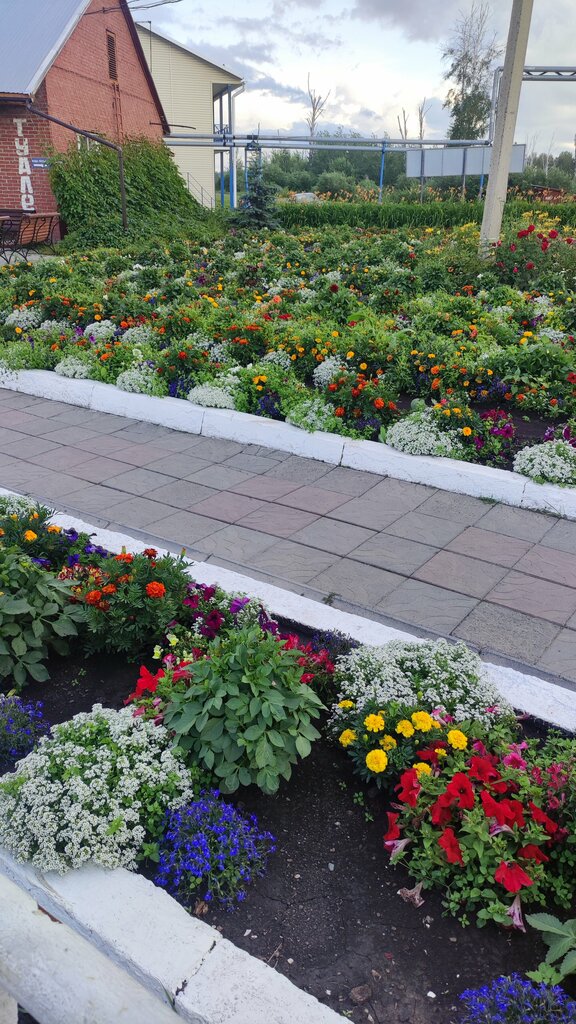 Çamaşırhaneler Sanitarny kompleks, Novosibirskaya oblastı, foto