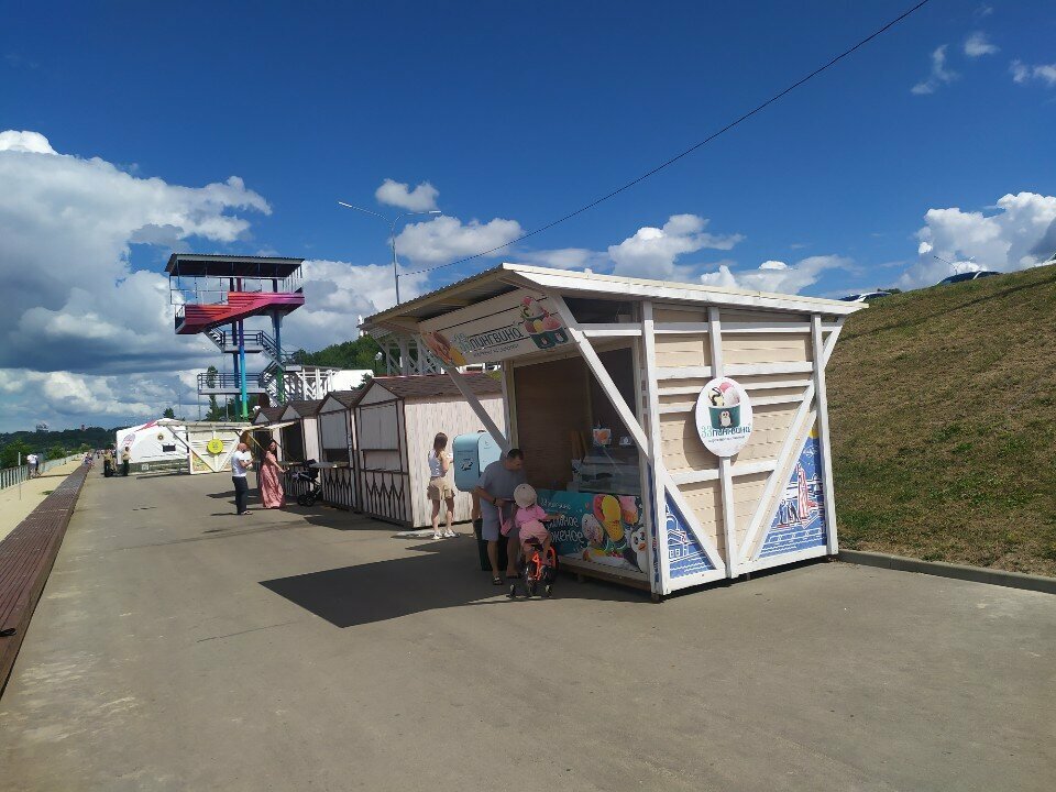 Dondurmacılar 33 пингвина, Kaluga, foto