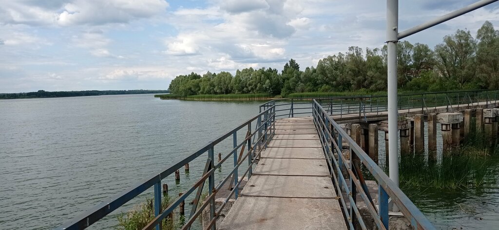 Seyir terası Смотровая площадка, Riazanskaya oblastı, foto