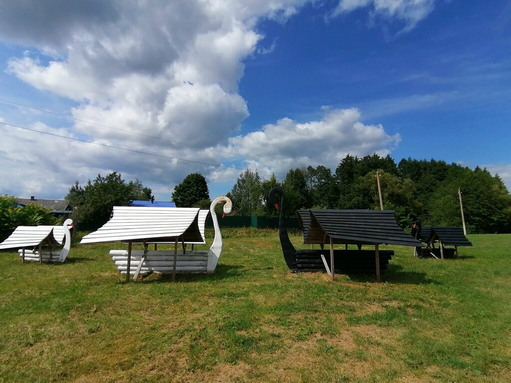 Piknik alanı Зона отдыха на р. Турья, Mogiliovskaya oblastı, foto