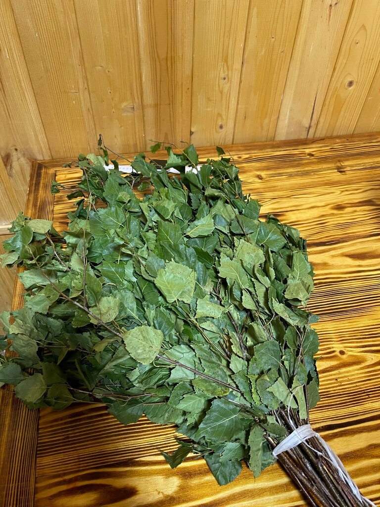 Hamamlar Bathhouse, Petropavl (Petropavlovsk), foto