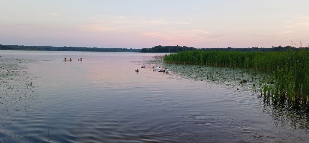 Plaj Пляж, Pskovskaya oblastı, foto