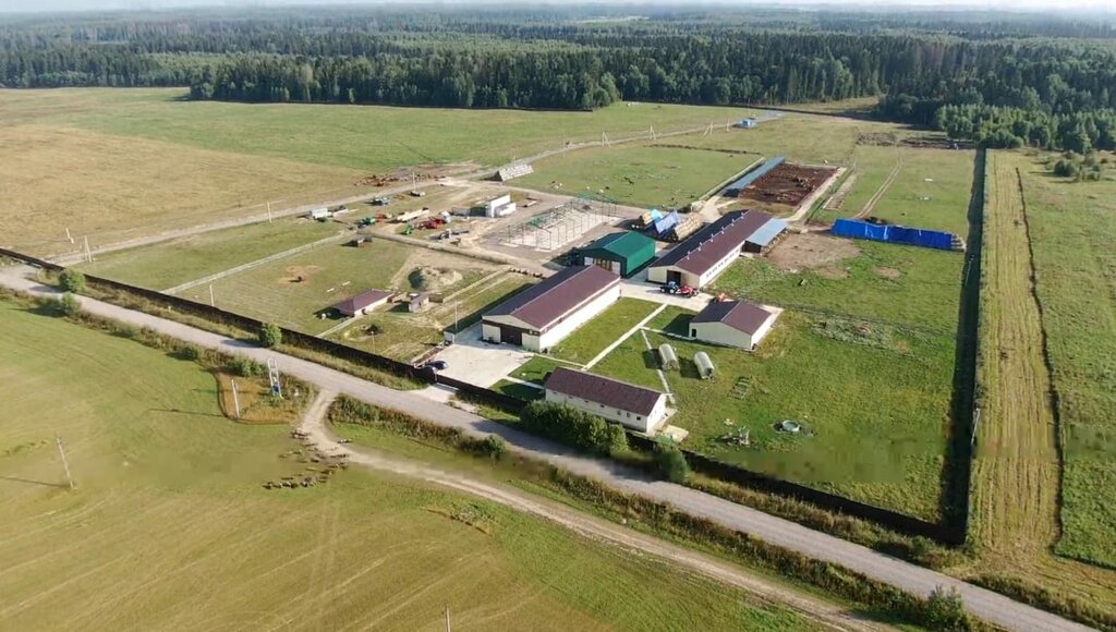 Hayvancılık Кудрявая ферма, Saint‑Petersburg ve Leningradskaya oblastı, foto