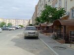 Plisse (No:7, 3-shi shaǵyn aýdan), jaluzi ve stor perde  Aktav'dan