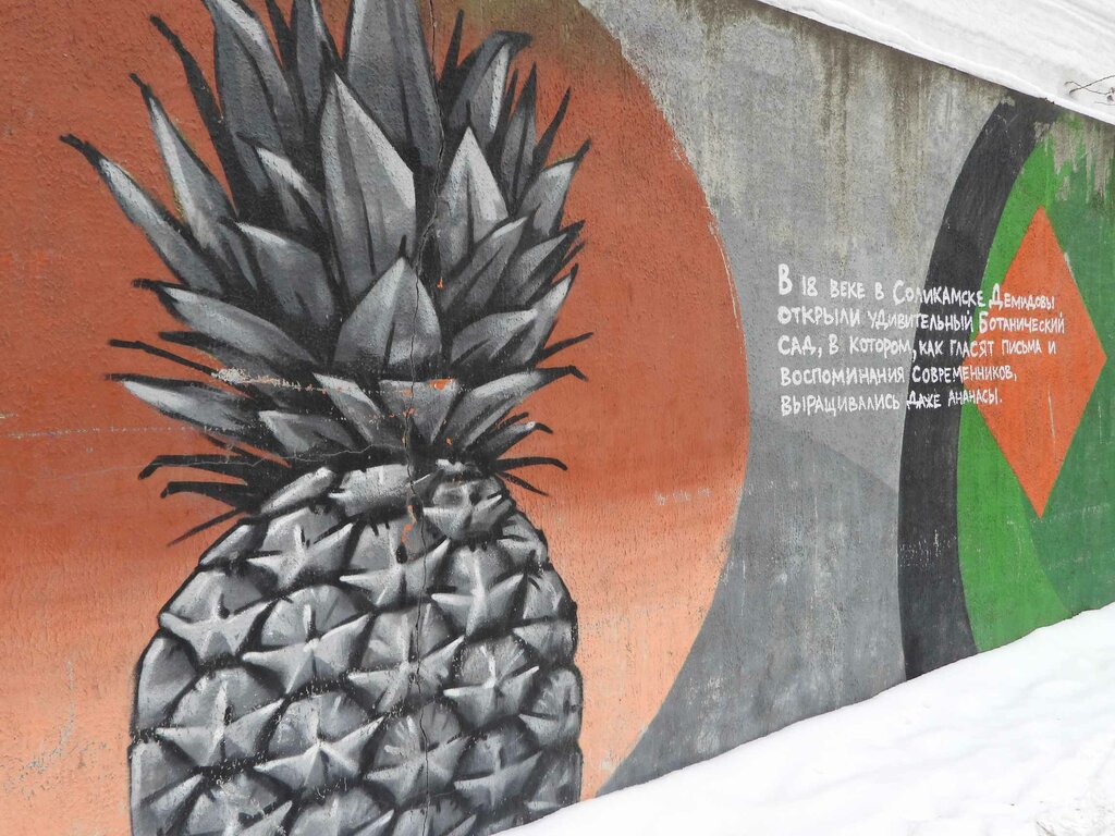 Turistik yerler Граффити История города, Solikamsk, foto