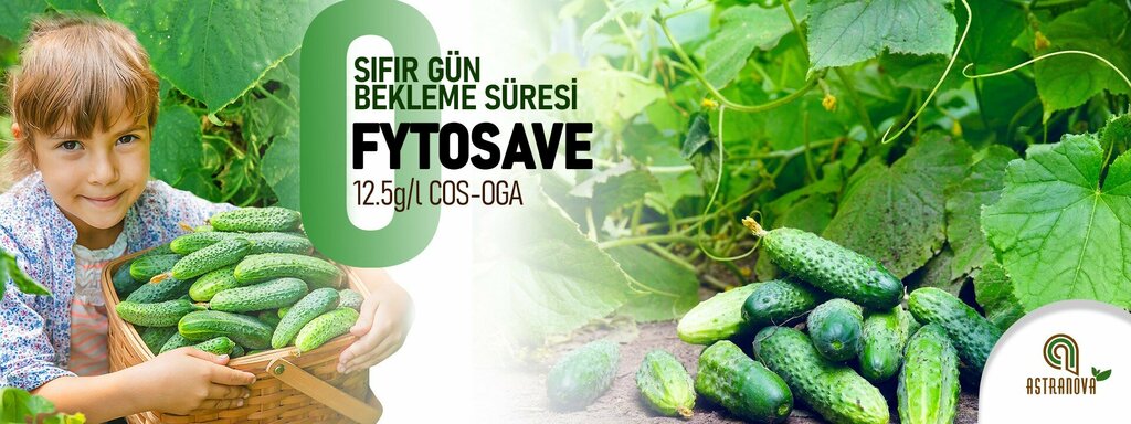 Haşere ilaçlama firmaları Astranova Tarım, Antalya, foto