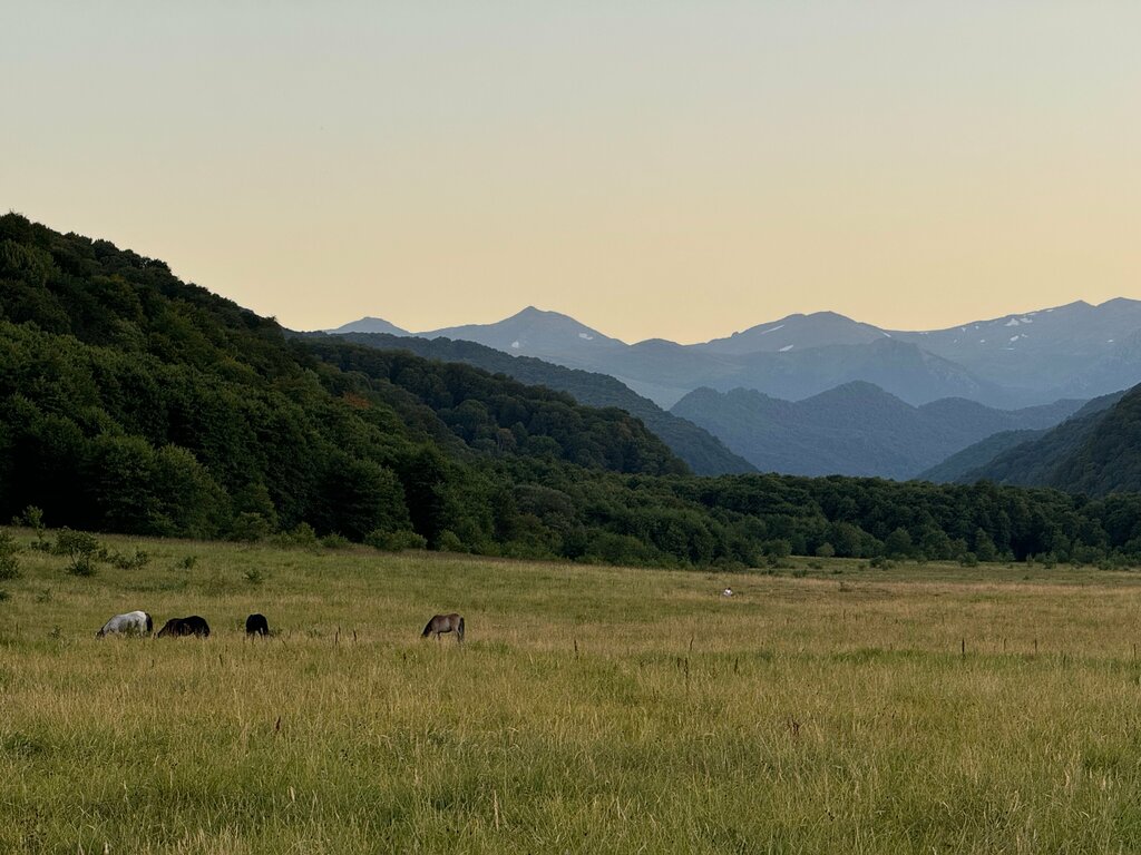 Turistik yerler Дольмены, Karaçay‑Çerkez Cumhuriyeti, foto