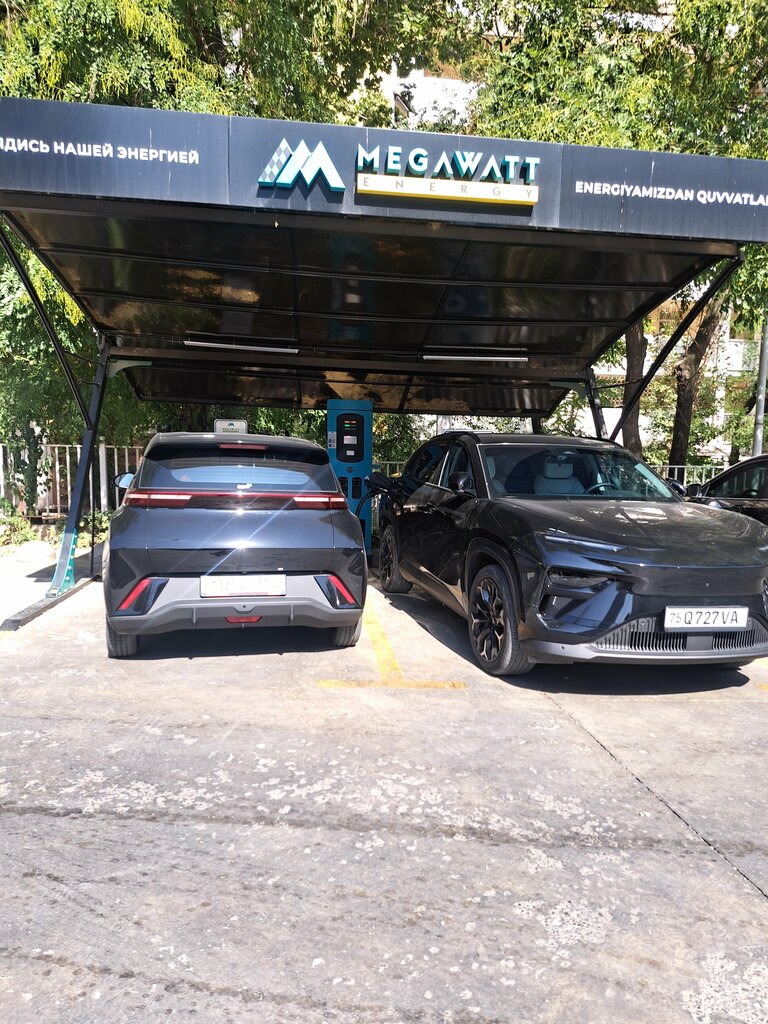Elektrikli oto şarj istasyonları Megawatt Energy, Taşkent, foto