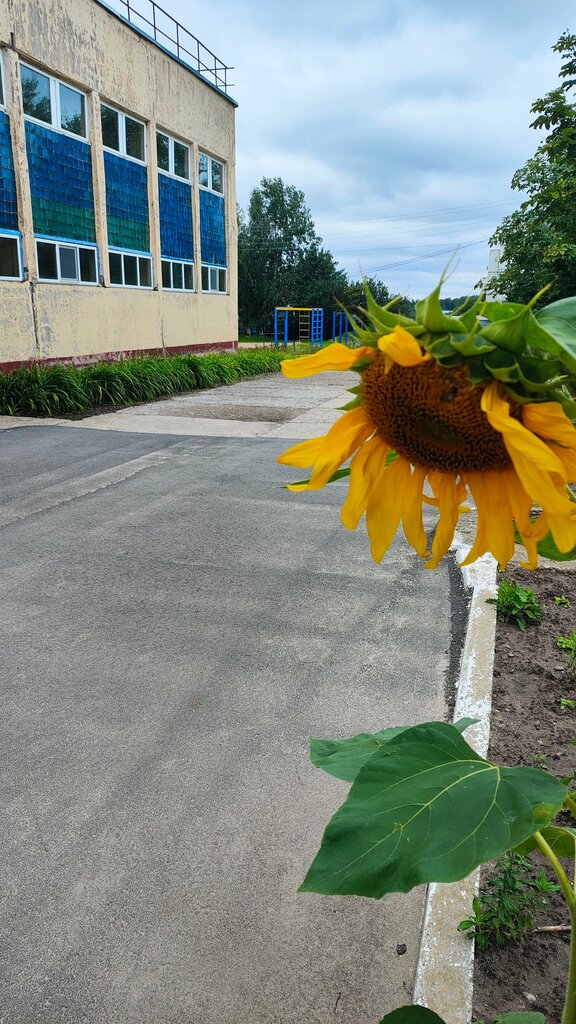 Süpermarket Novyye Paraty, Mariy El Cumhuriyeti, foto