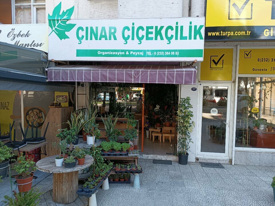Çiçekçiler Çınar Çiçekçilik, İzmir, foto