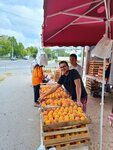 ИП Еримизин В. Н. (улица Мира No:1, село Ромашкино), tarım ürünleri firmaları  Kırım Cumhuriyeti'nden