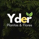 Yder Plants and Flowers (Santa Cruz de la Sierra, Avenida Roque Aguilera, 3040), fidan yetiştiriciliği  Bolivya'dan