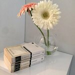 Birkitapcim.com (Bolu, Gerede, Osmanlı Cad., 5), kitap mağazaları  Gerede'den