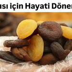 Kaya Kardeşler Un ve Gıda (Çeltik Mah., Çerkezköy Cad., No:134, Silivri, İstanbul), gıda üreticileri  Silivri'den