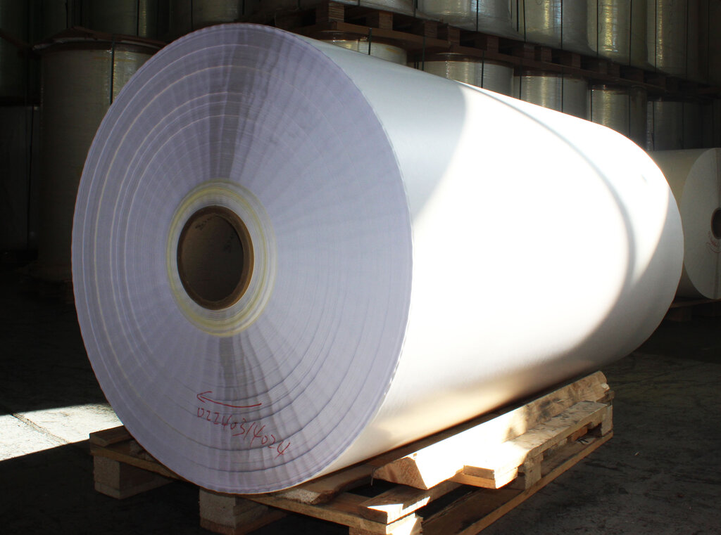 Kağıt firmaları Petrobumaga, Novosibirsk, foto