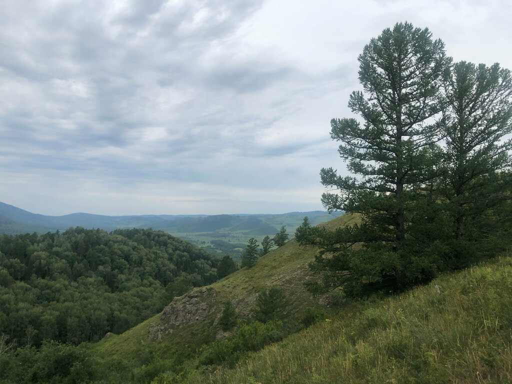Dağ zirvesi Гора Чайная, Altayski krayı, foto