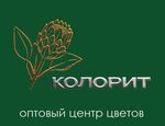Колорит (ulitsa Gogolya No:56), toptan satış mağazaları  Cherepovets'ten