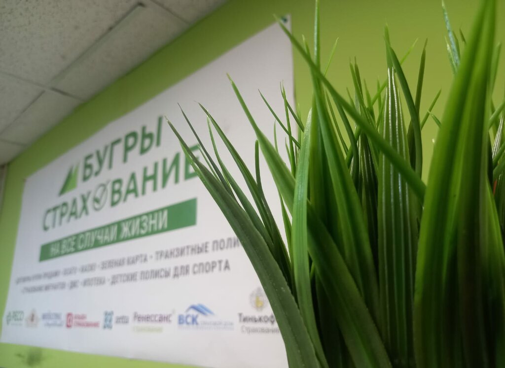 Araç sigorta şirketleri Bumps Insurance, Saint‑Petersburg ve Leningradskaya oblastı, foto