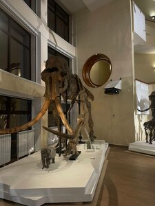 Museum of nature and man (Mira Street No:11/9, Khanty-Mansiysk), müzeler ve sanat galerileri  Hantı‑Mansi'den