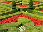 Blue Moon Landscape Gardening (15, Russia-V Street, Russia Cluster, Dubai International City, Mushraif, Dubai), peyzaj tasarımı