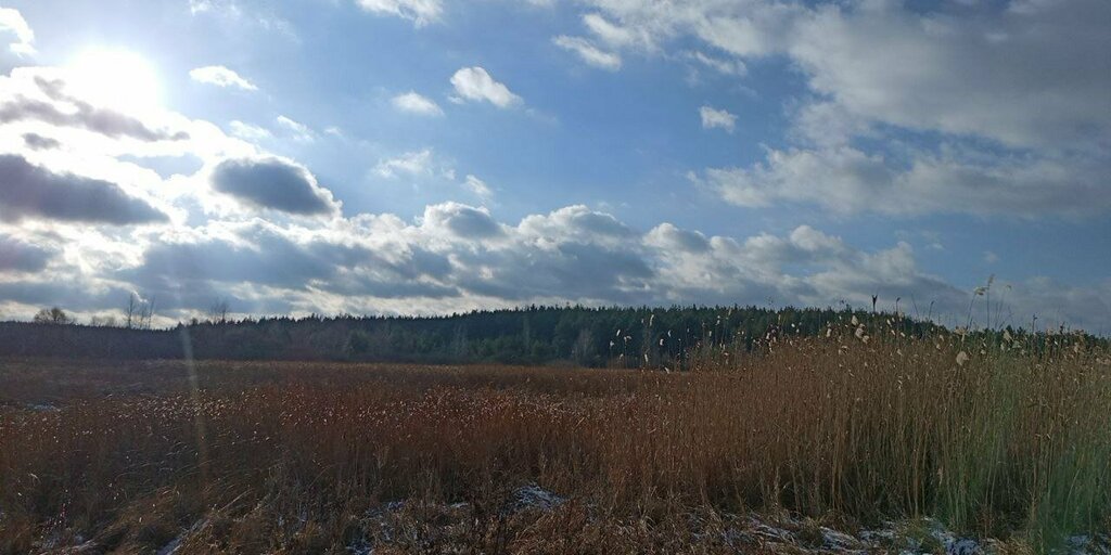 Orman урочище Моховое, Belgorodskaya oblastı, foto