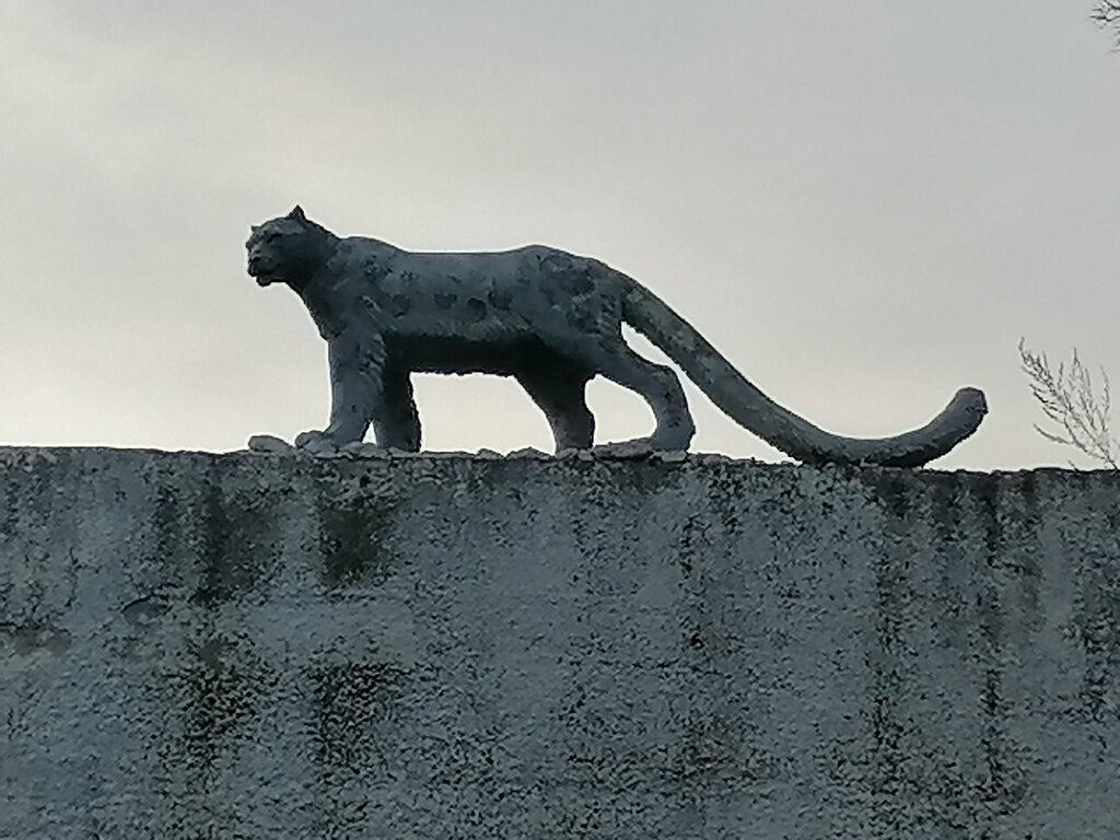 Park, sokak heykeli Snow Leopard, Almatı, foto