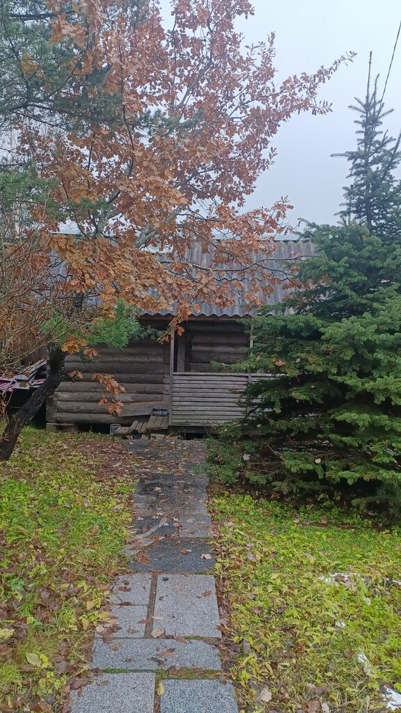 Bahçecilik dernekleri ve kuruluşları Правление СНТ Ручеёк, Saint‑Petersburg ve Leningradskaya oblastı, foto